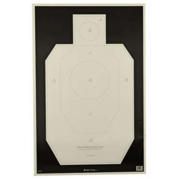 A Professional's Guide to Choosing a Gun Shooting Target